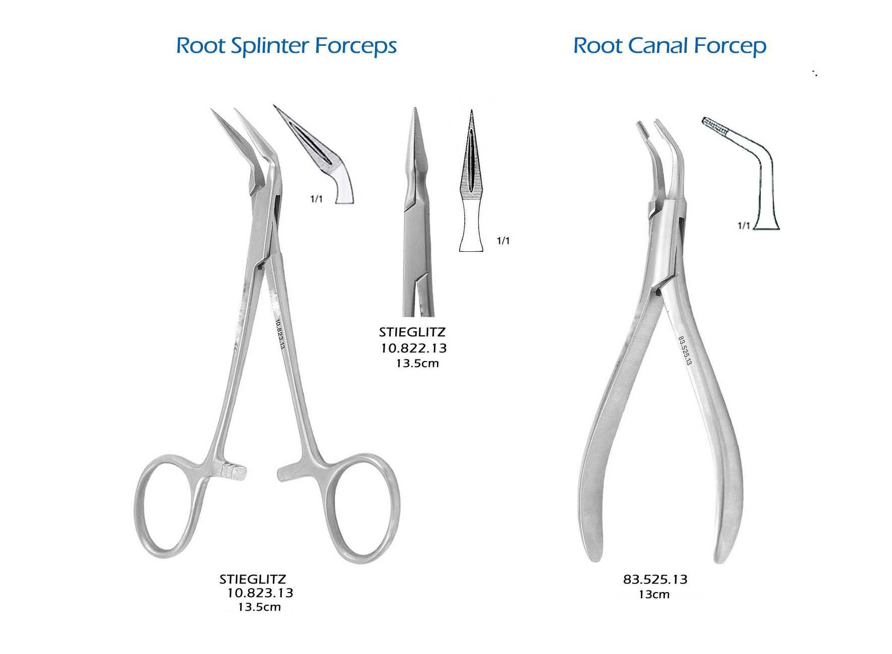 endodontic view products
